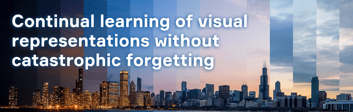 Continual learning of visual representations without catastrophic ...